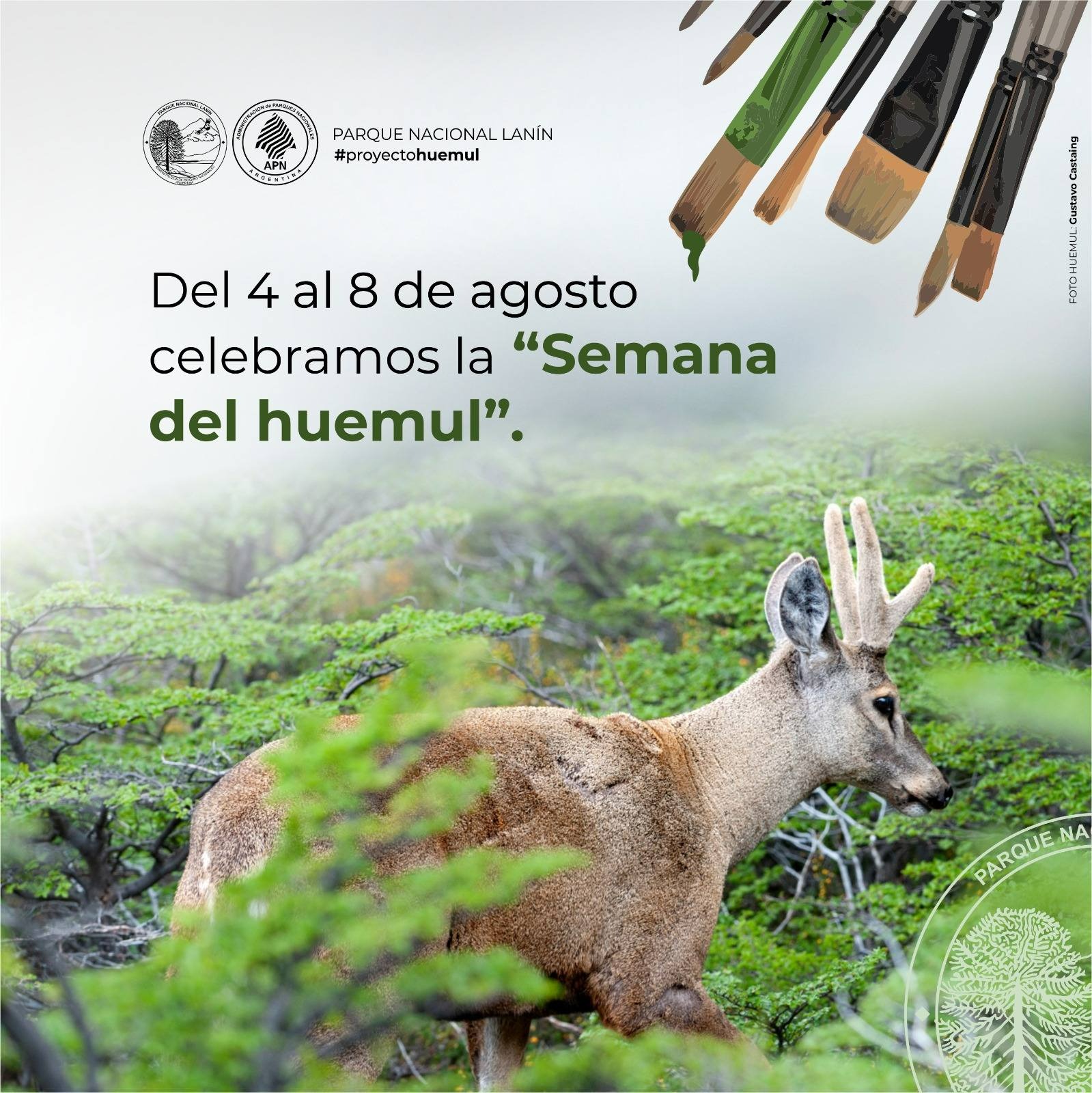 Celebramos al huemul desde el arte – Cadena Sur